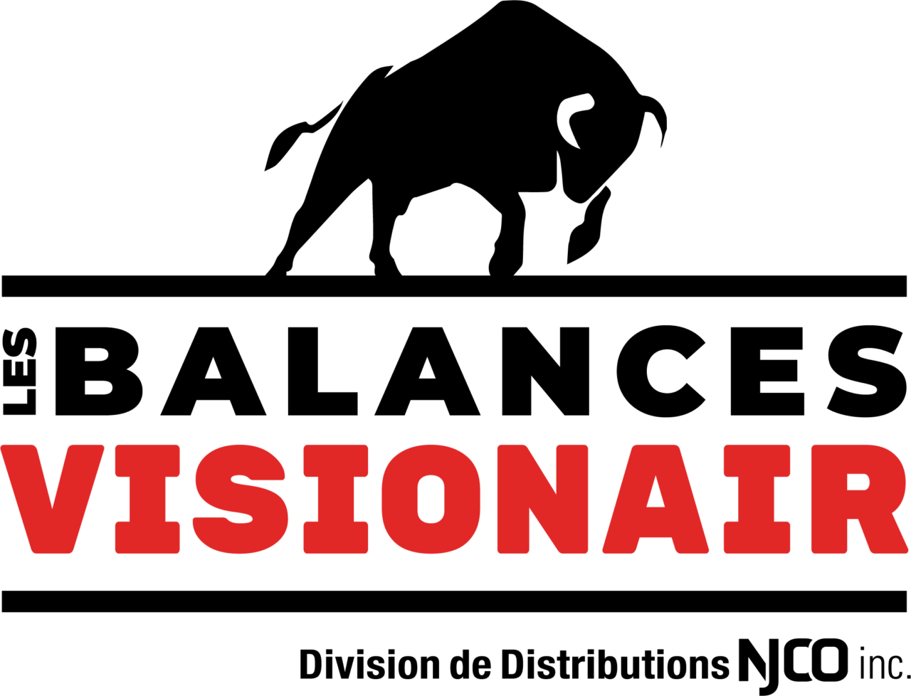 Balances embarquées pour camion lourd | Les Balances Visionair
